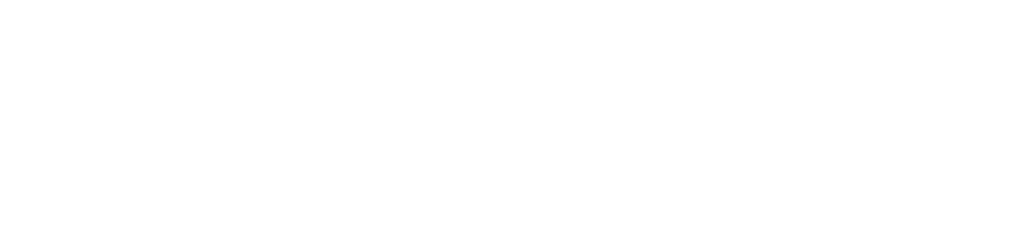 Prevail M/T - Celimo Tire USA