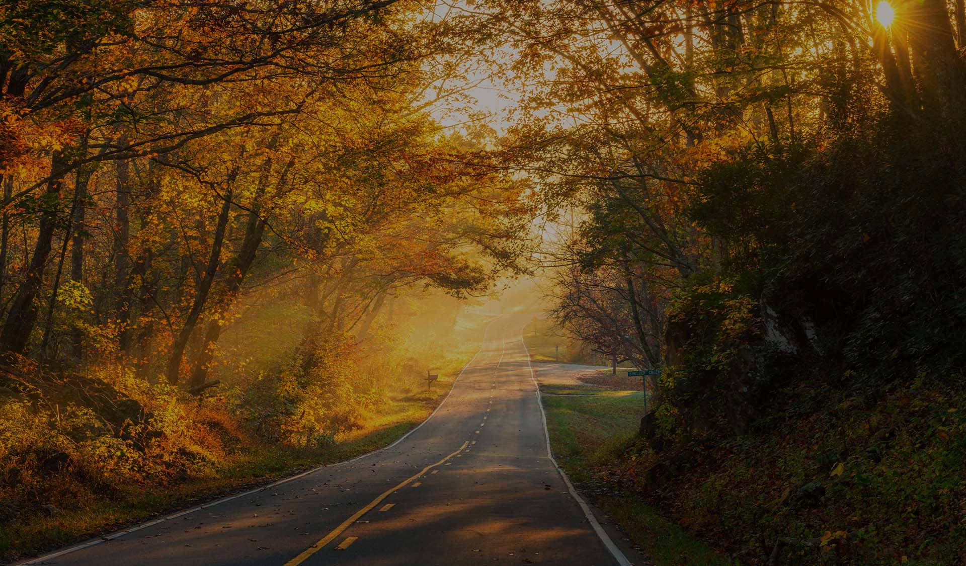 Celimo Home - Celimo Tire USA