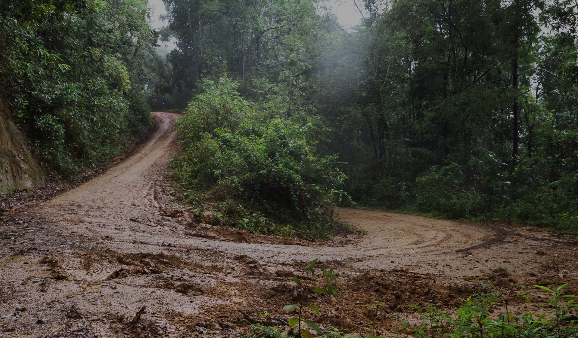 Celimo Home - Celimo Tire USA